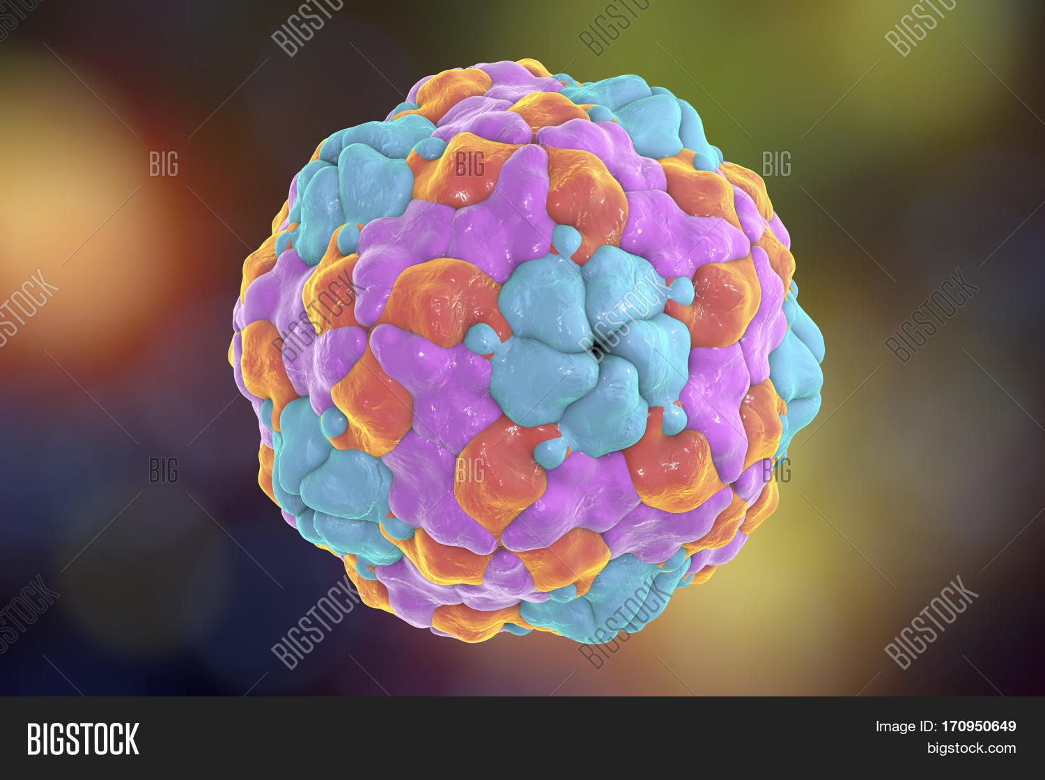 Human Parechovirus On Image & Photo (Free Trial) | Bigstock