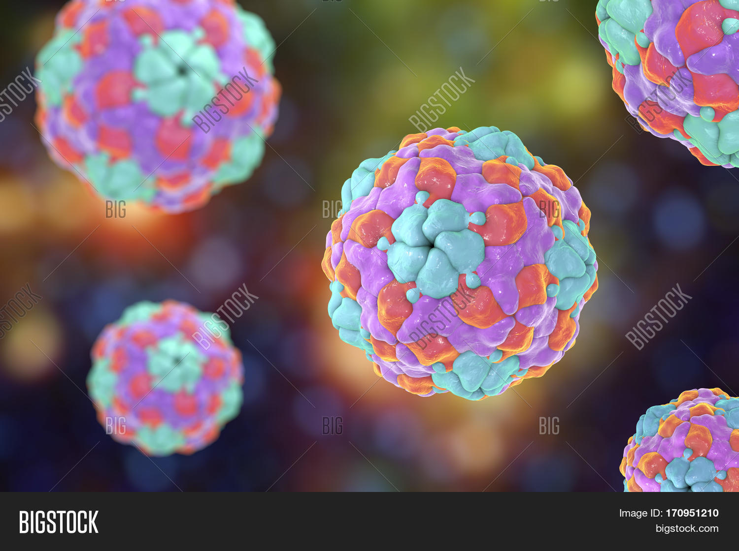 Human Parechovirus On Image & Photo (Free Trial) | Bigstock