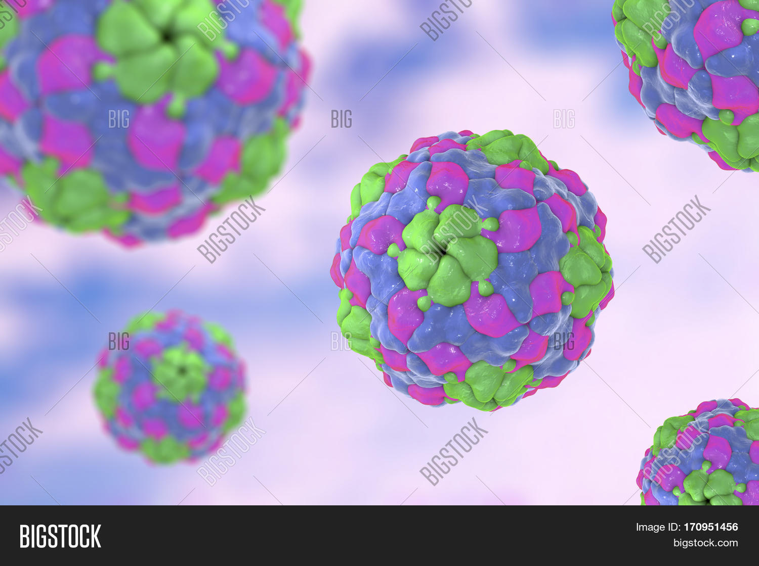 Human Parechovirus On Image & Photo (Free Trial) | Bigstock