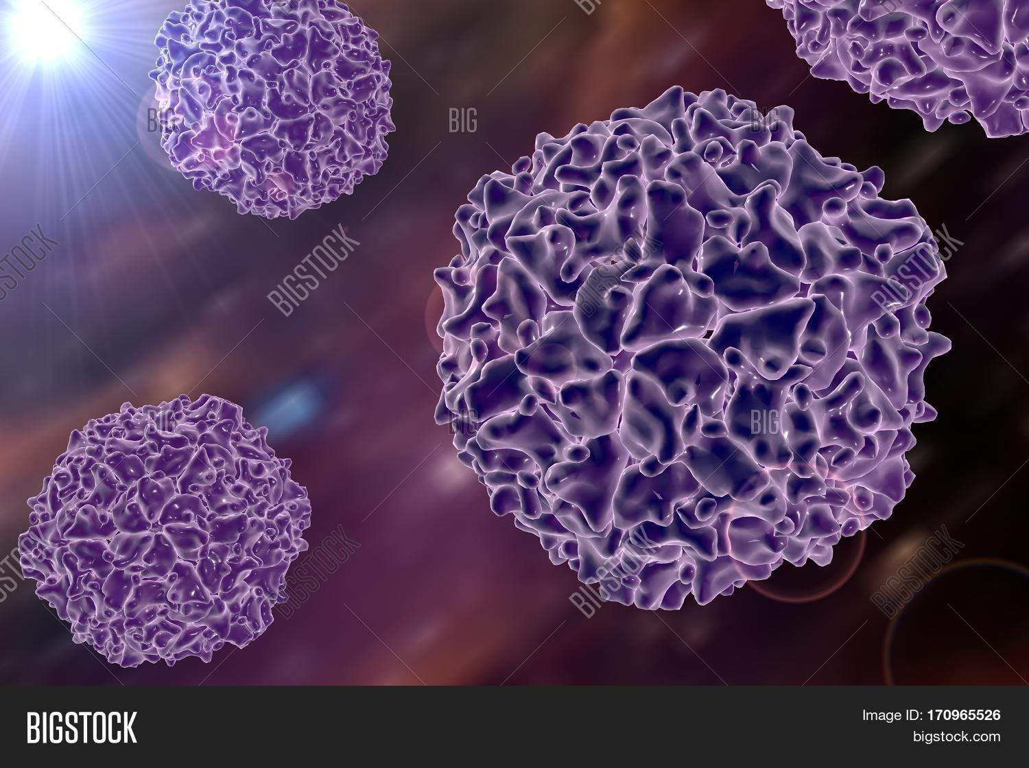 Poliovirus On Colorful Image & Photo (Free Trial) | Bigstock