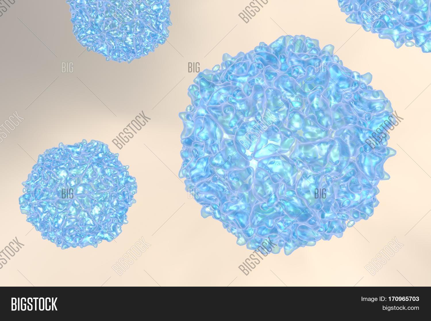 Poliovirus On Colorful Image & Photo (Free Trial) | Bigstock