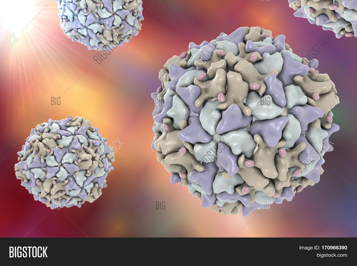 Poliovirus On Colorful Image & Photo (Free Trial) | Bigstock