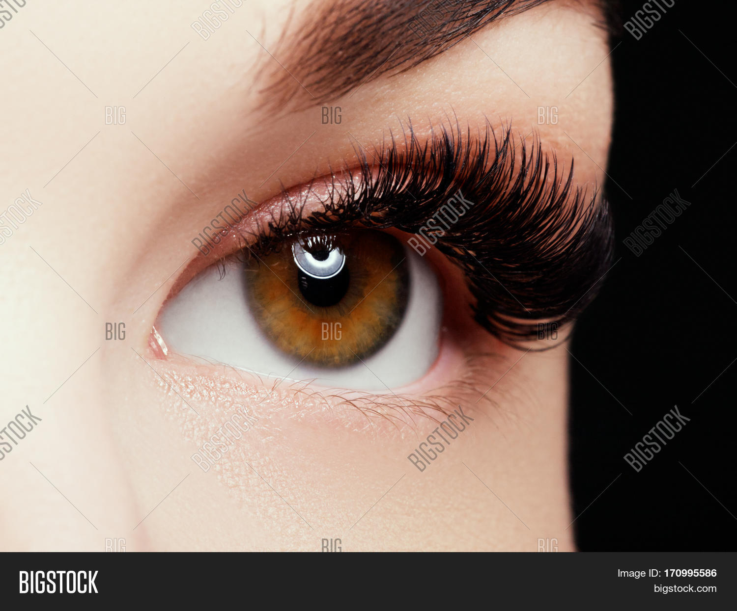 Beautiful Macro Shot Image & Photo (Free Trial) | Bigstock