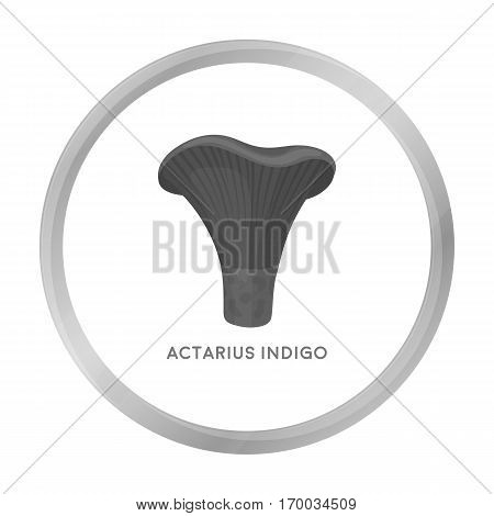 Actarius Indigo Icon Vector & Photo (Free Trial) | Bigstock