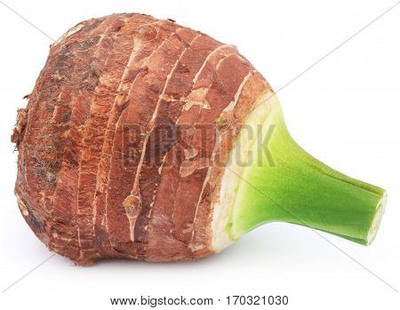 Edible Root Colocasia Image & Photo (Free Trial) | Bigstock