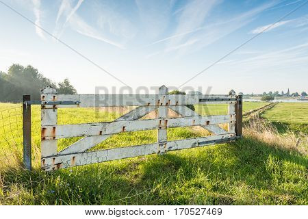 Old White Painted Image & Photo (Free Trial) | Bigstock