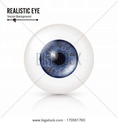 Realistic Human Vector & Photo (Free Trial) | Bigstock