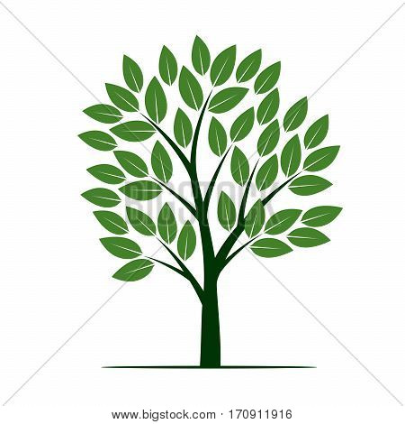 Drawing Green Tree Vector & Photo (Free Trial) | Bigstock