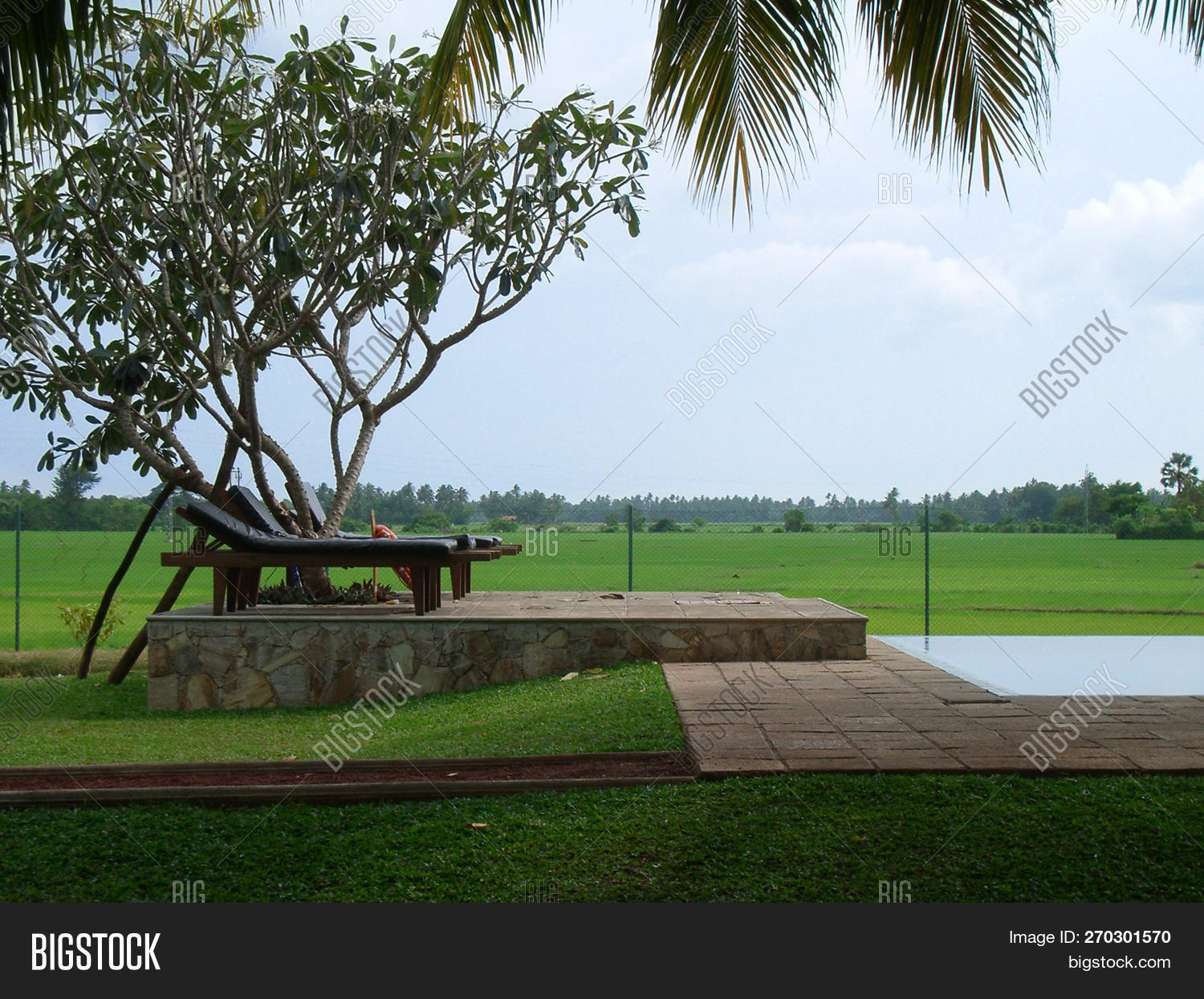 Outdoor Calm Pool Image & Photo (Free Trial) | Bigstock