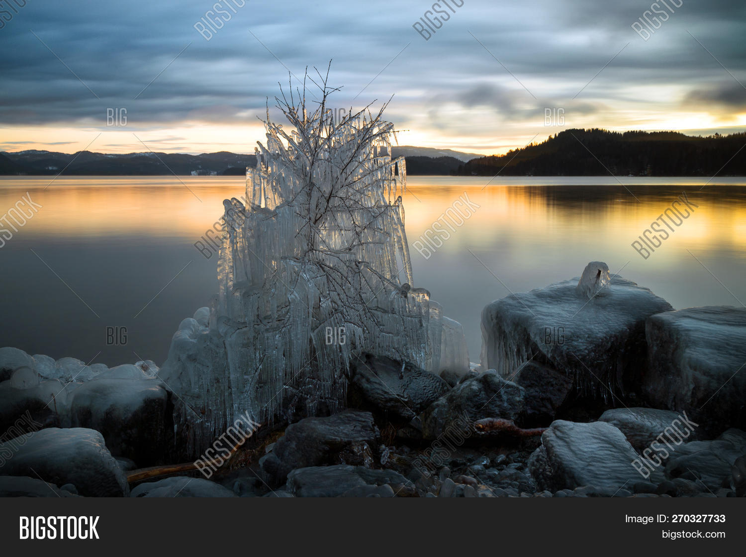 Ice Covered Tree Shore Image & Photo (Free Trial) | Bigstock