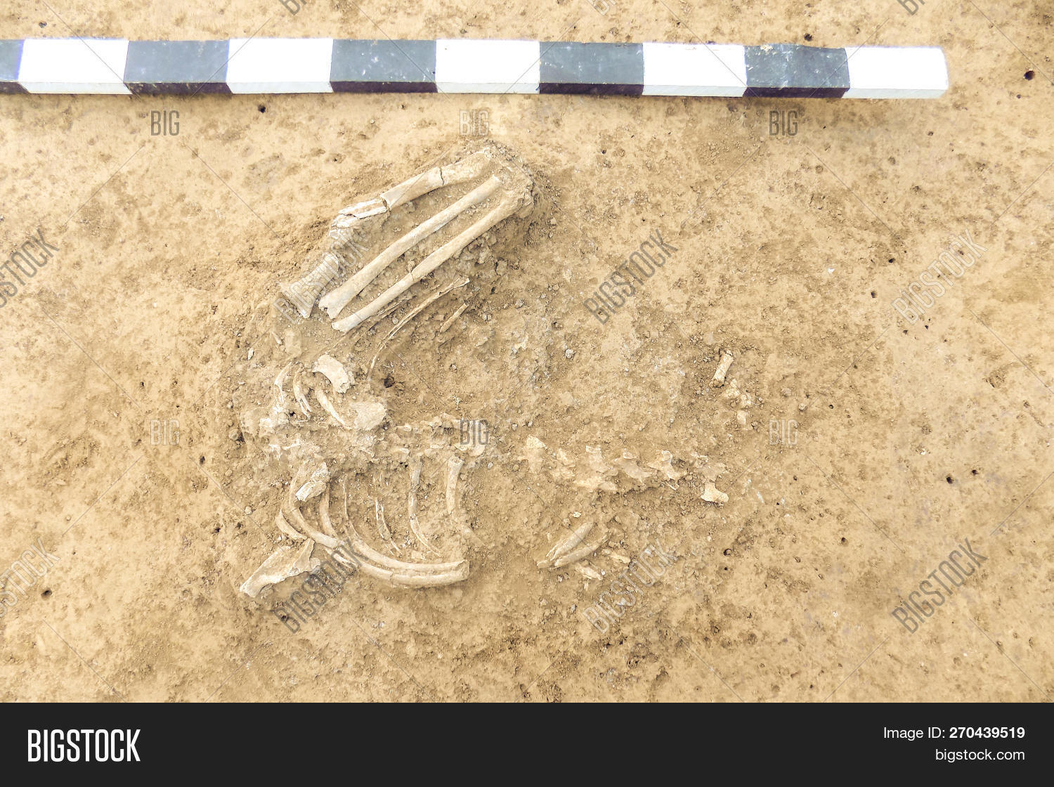 Archaeological Image & Photo (Free Trial) | Bigstock