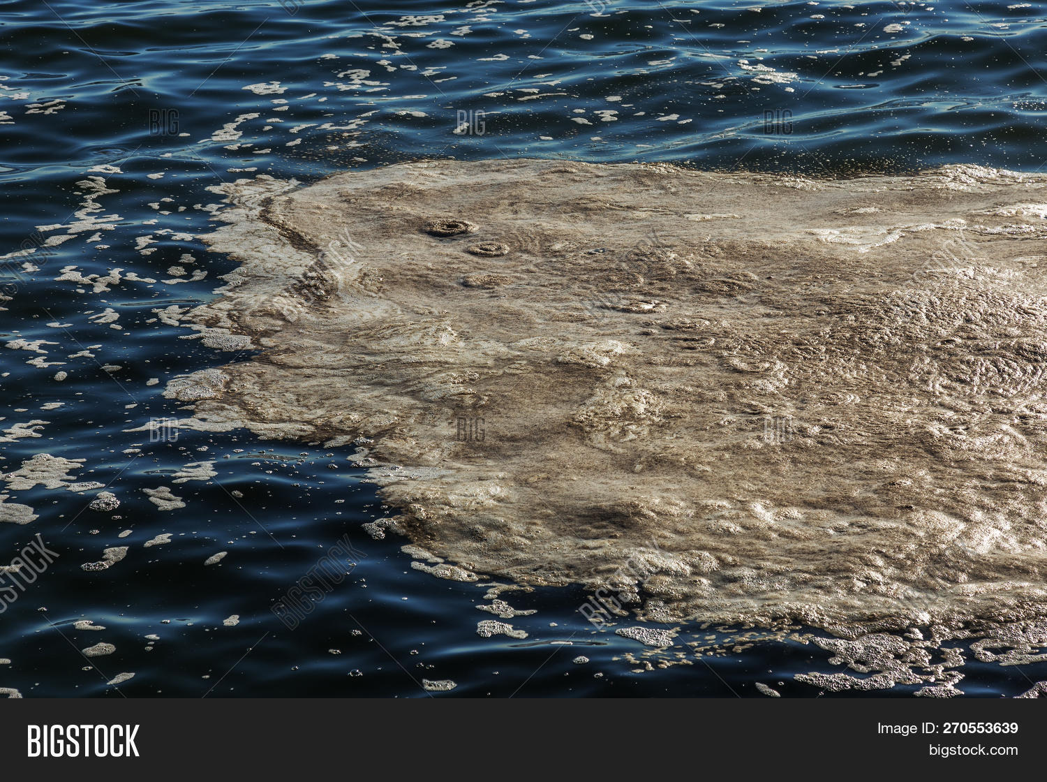 Dirty Sea Water. Dirt Image & Photo (Free Trial) | Bigstock