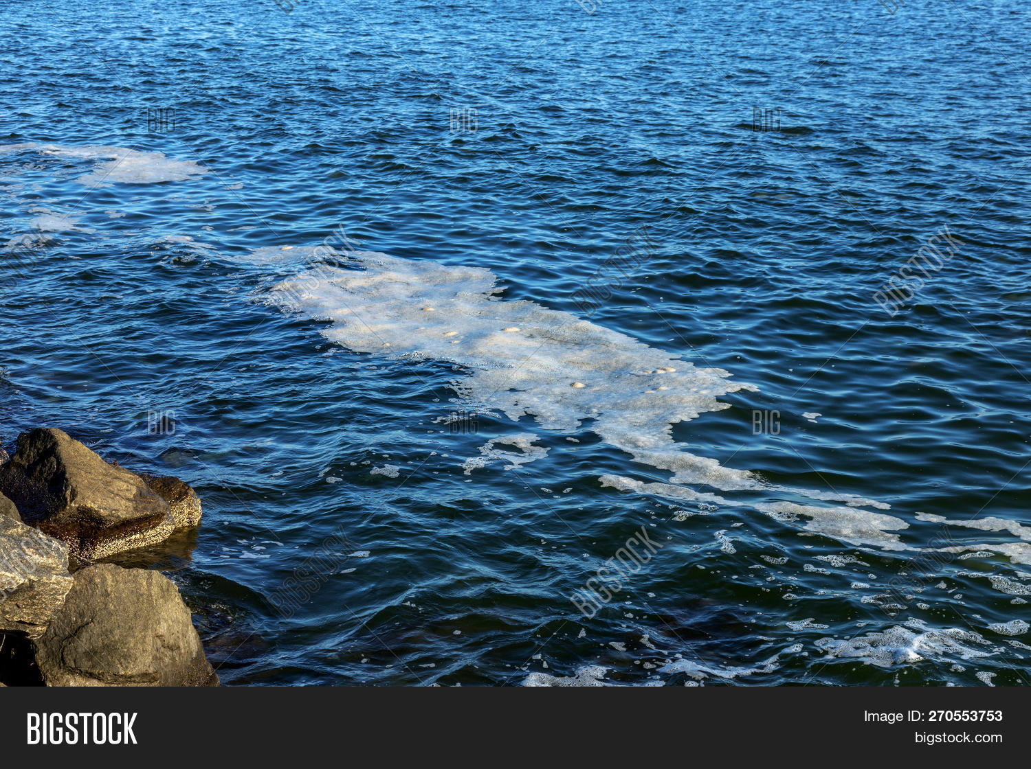 Dirty Sea Water. Dirt Image & Photo (Free Trial) | Bigstock