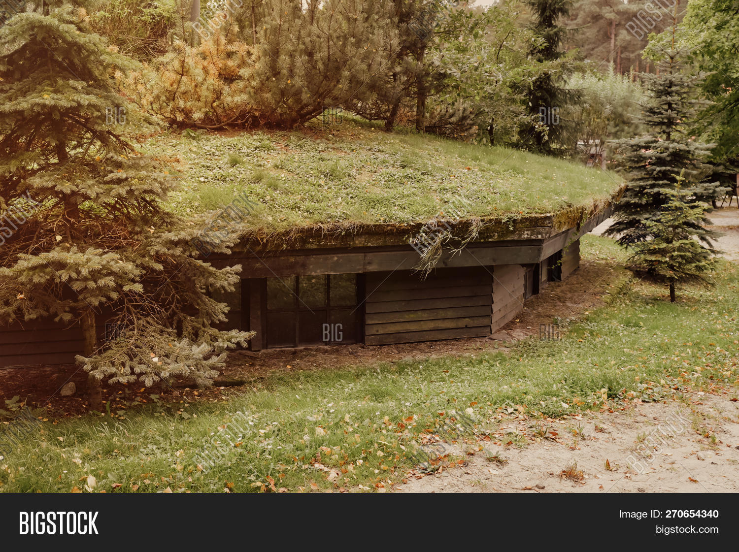 Ww2 Bunker Forest Image & Photo (Free Trial) | Bigstock