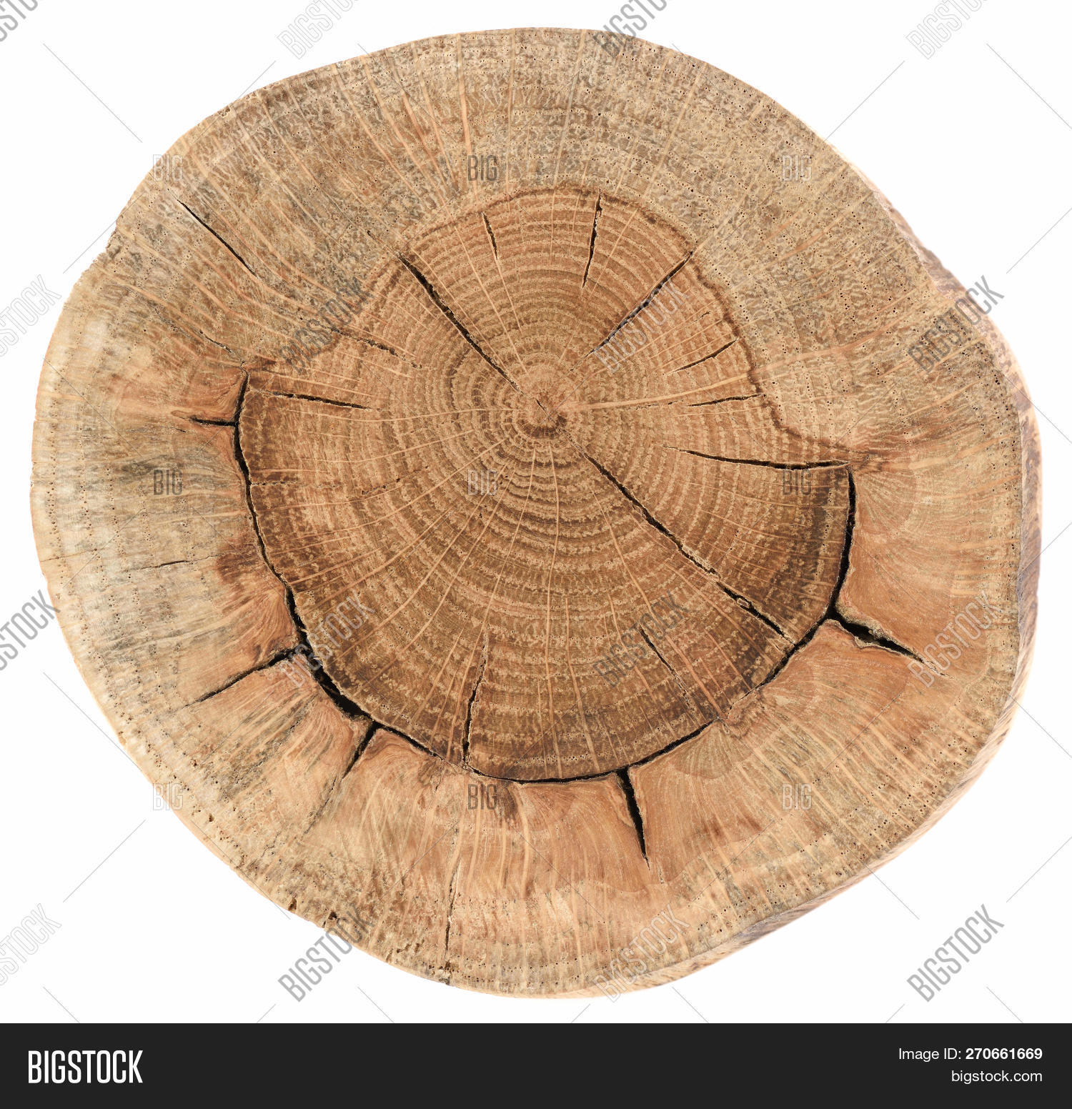 Round Cross Section Image & Photo (Free Trial) | Bigstock