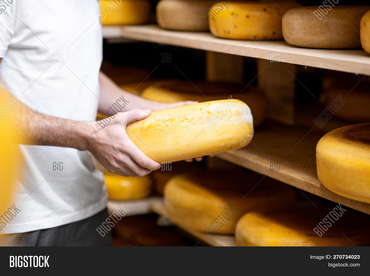 Worker Taking Cheese Image & Photo (Free Trial) | Bigstock