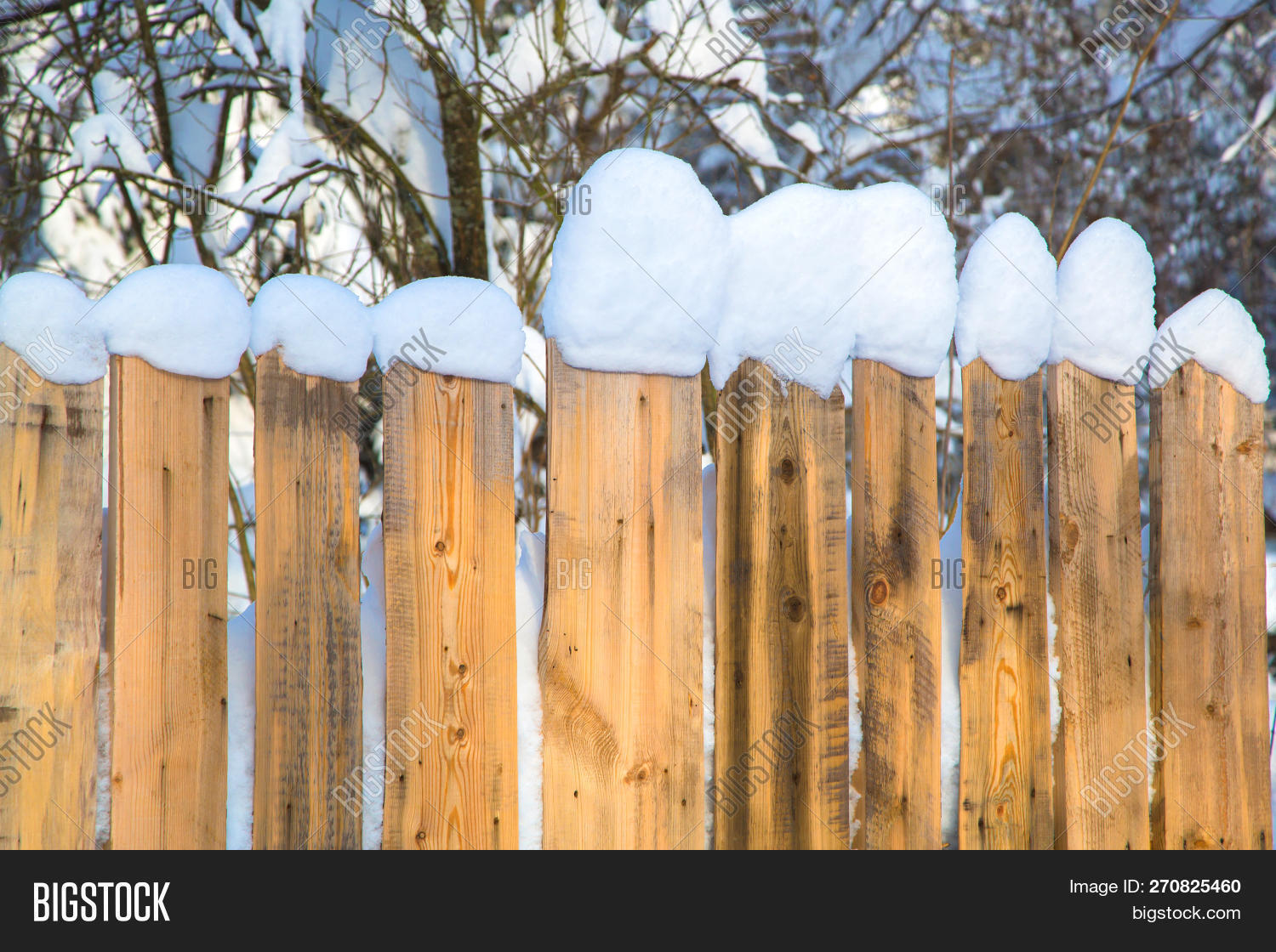 Wooden Fence Covered Image & Photo (Free Trial) | Bigstock