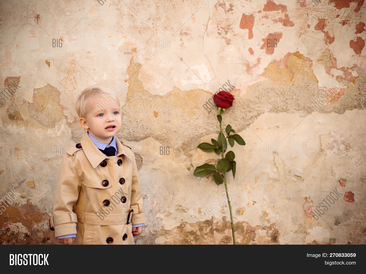 Little Boy Love Rose. Image & Photo (Free Trial) | Bigstock