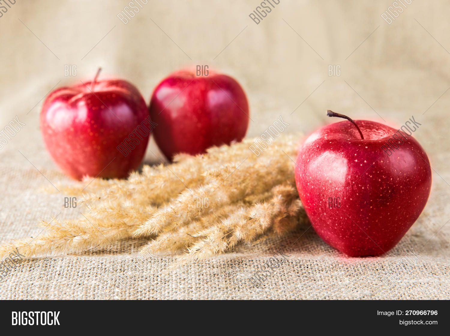 Three Red Apples Spike Image & Photo (Free Trial) | Bigstock