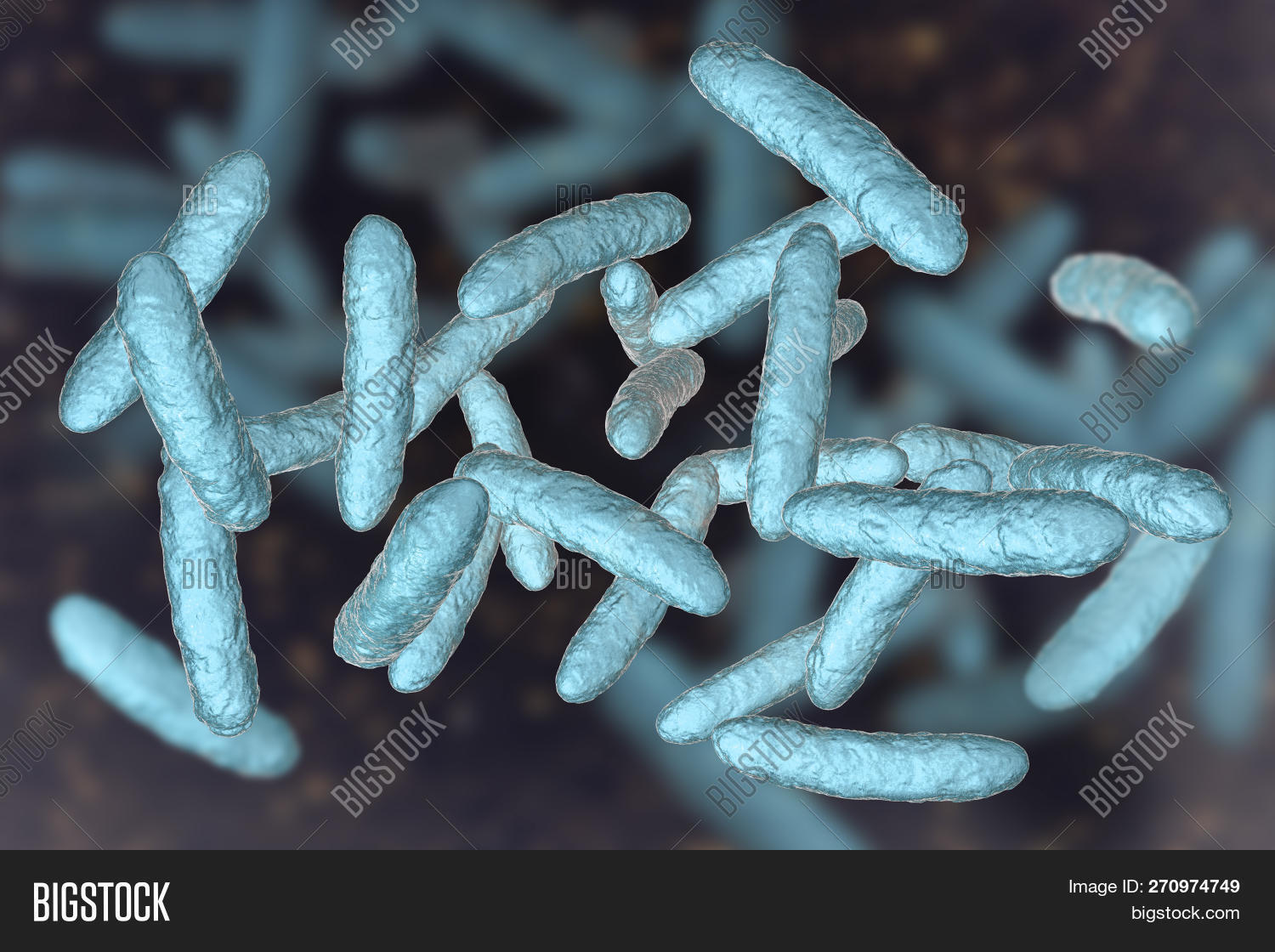 Probiotic Bacteria, Image & Photo (Free Trial) | Bigstock