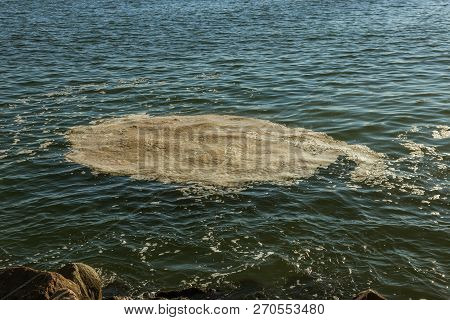 Dirty Sea Water. Dirt Image & Photo (Free Trial) | Bigstock