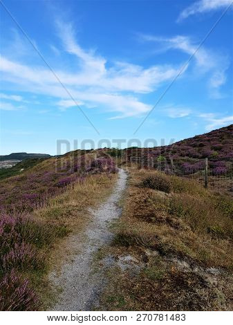 Purple Pathways Images, Illustrations & Vectors (Free) - Bigstock