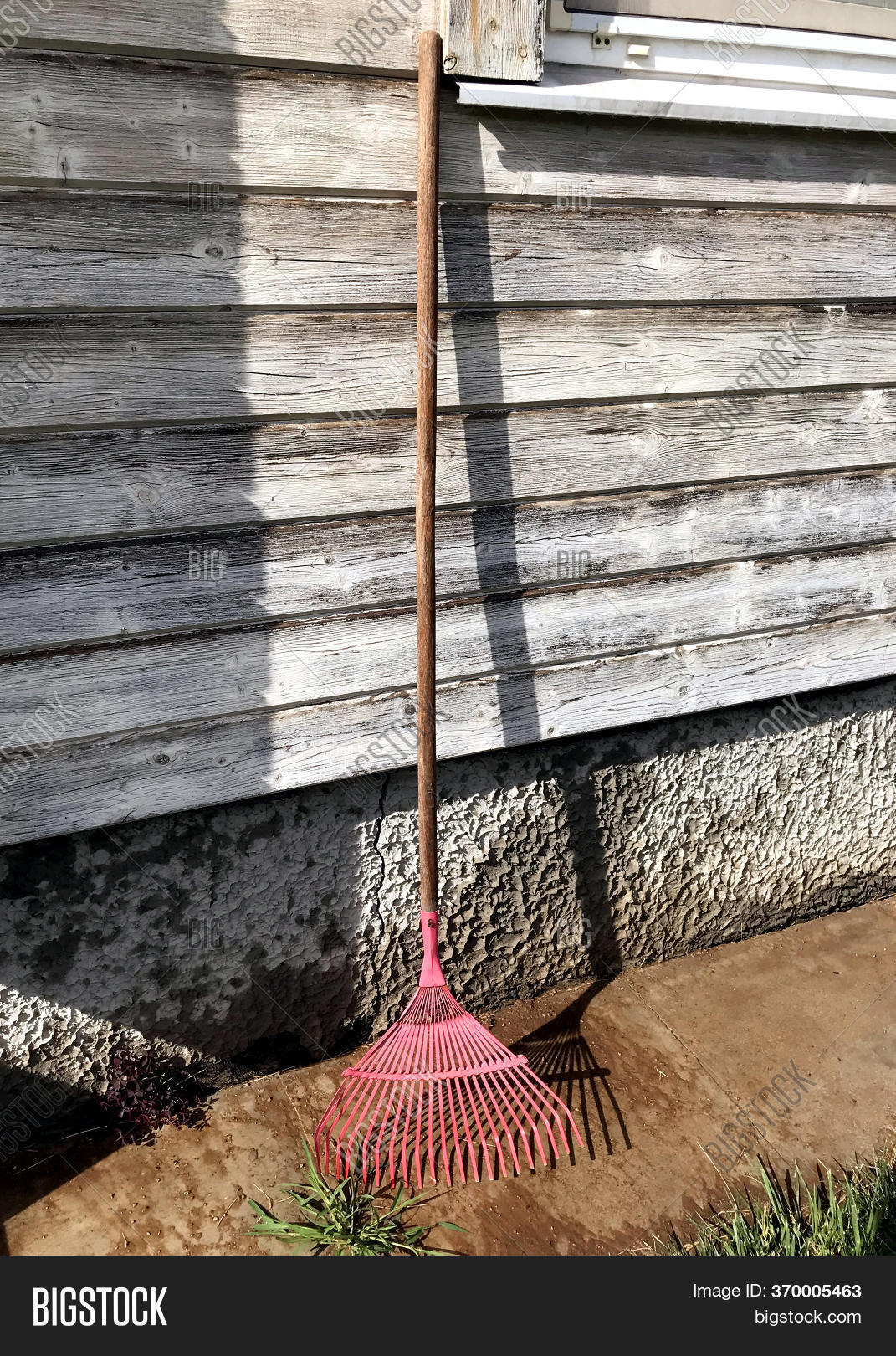 Rake By Wooden Wall Image & Photo (Free Trial) | Bigstock