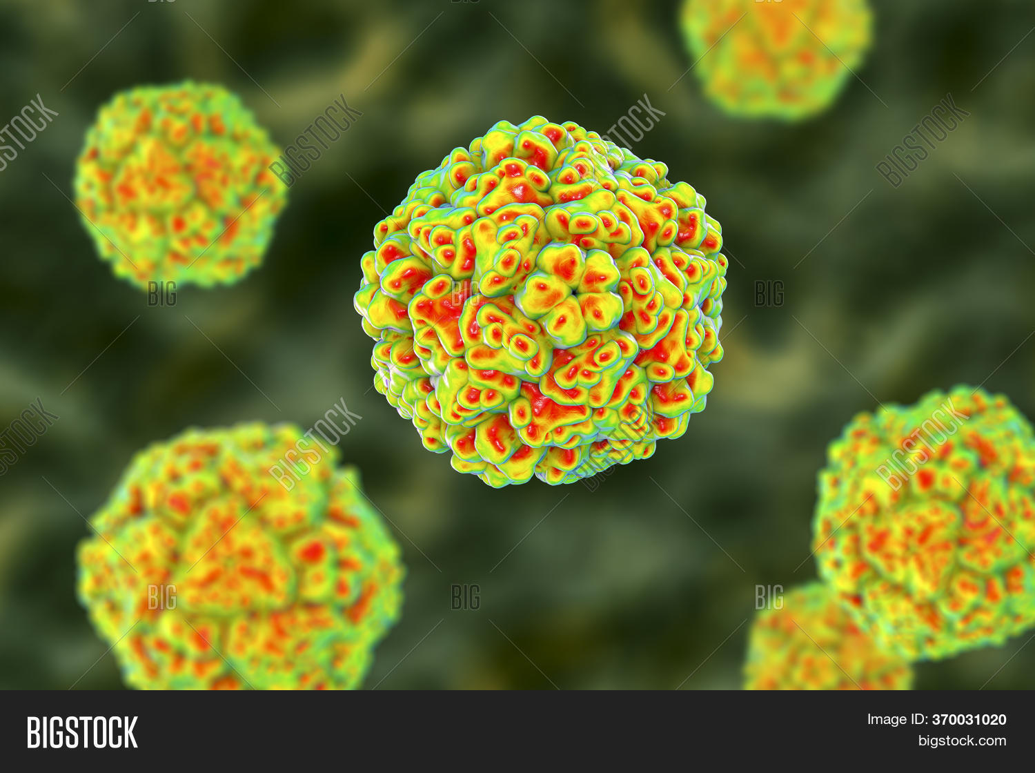 Enteroviruses, Group Image & Photo (Free Trial) | Bigstock