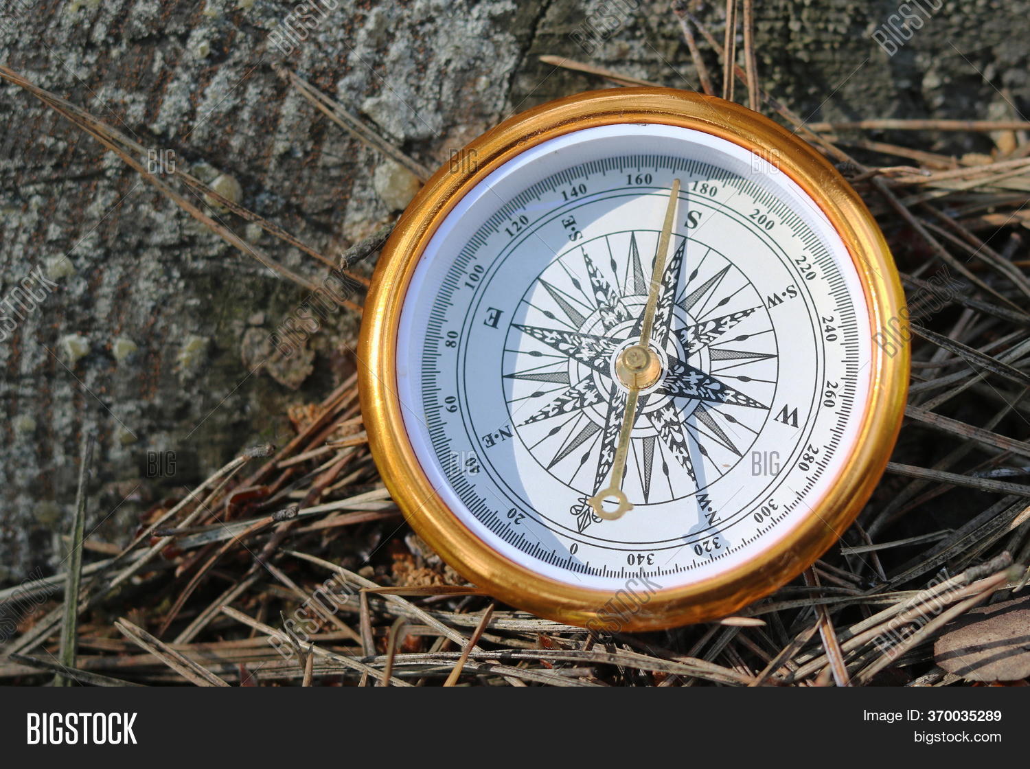 Round Compass On Image & Photo (Free Trial) | Bigstock