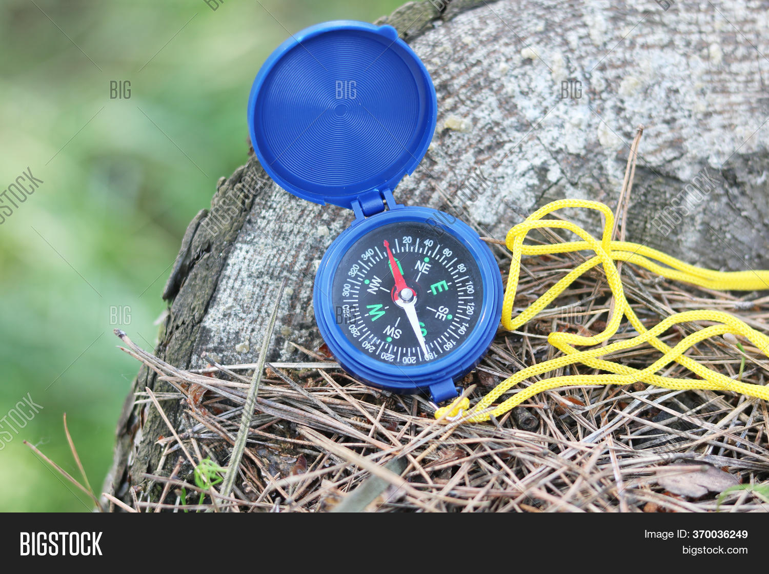 Round Compass On Image & Photo (Free Trial) | Bigstock