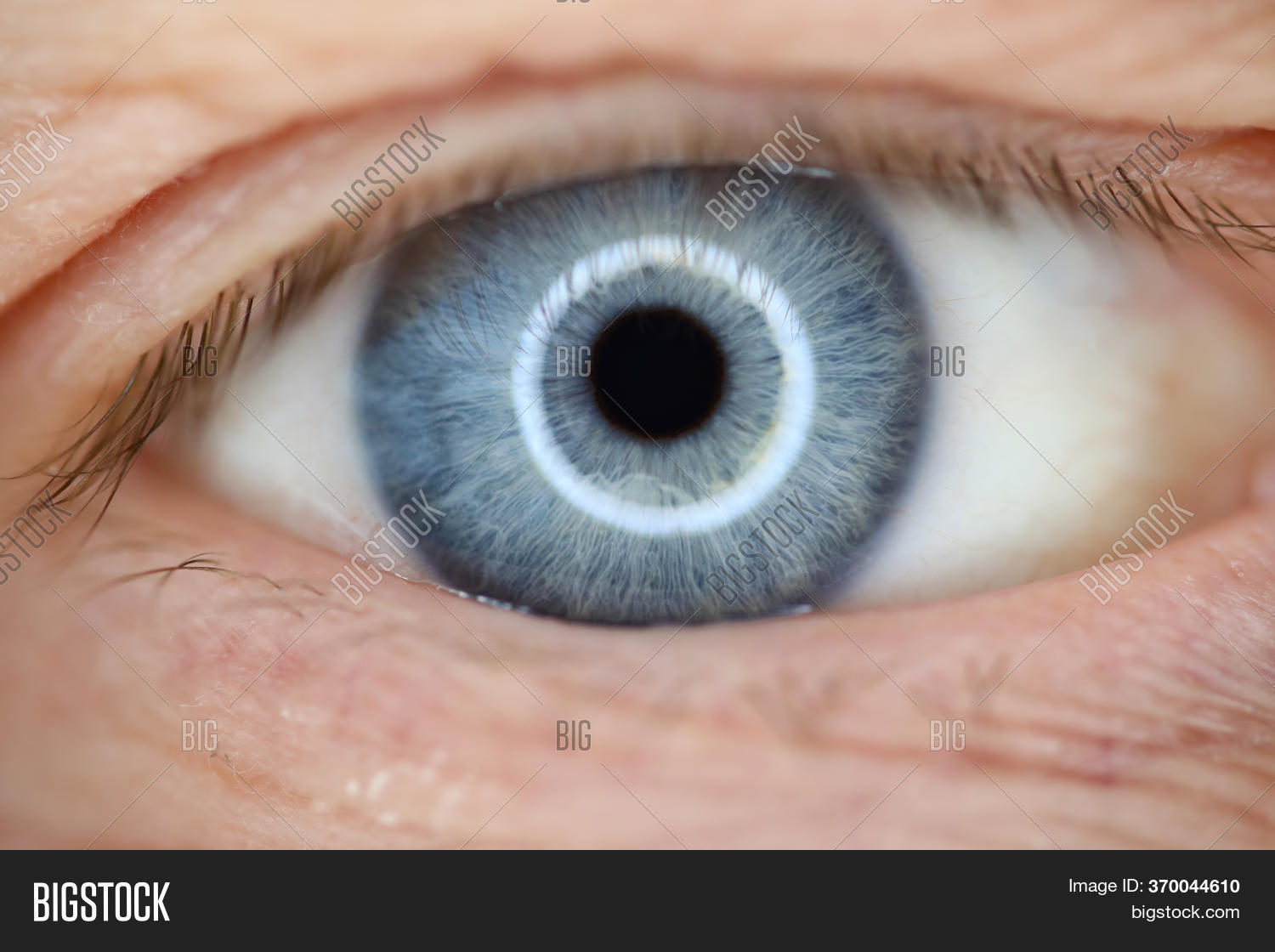 Blue Male, Human Eye Image & Photo (Free Trial) | Bigstock