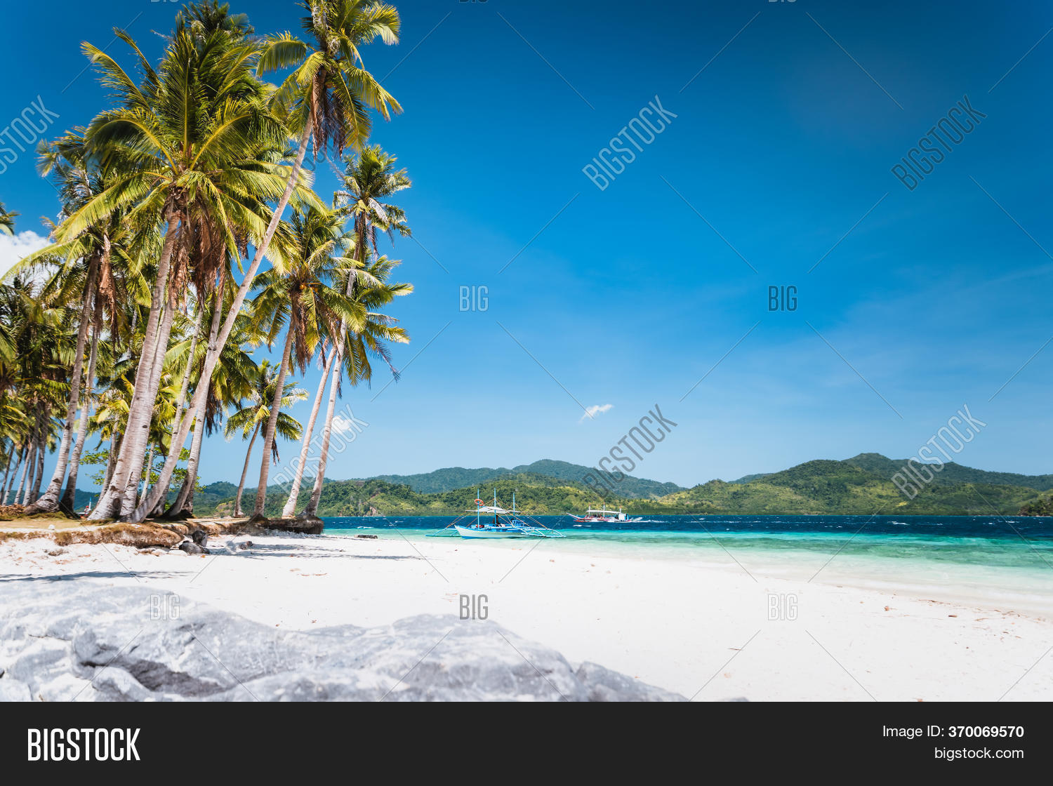 Ipil Beach Coconut Image & Photo (Free Trial) | Bigstock