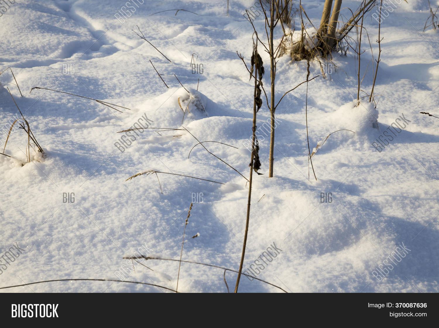 Snow Drifts Winter, Image & Photo (Free Trial) | Bigstock