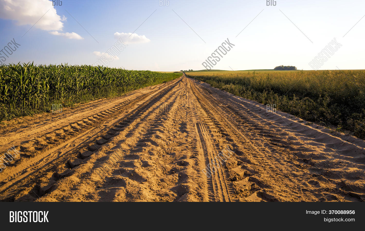 Ar Road, Ruts Traffic Image & Photo (Free Trial) | Bigstock