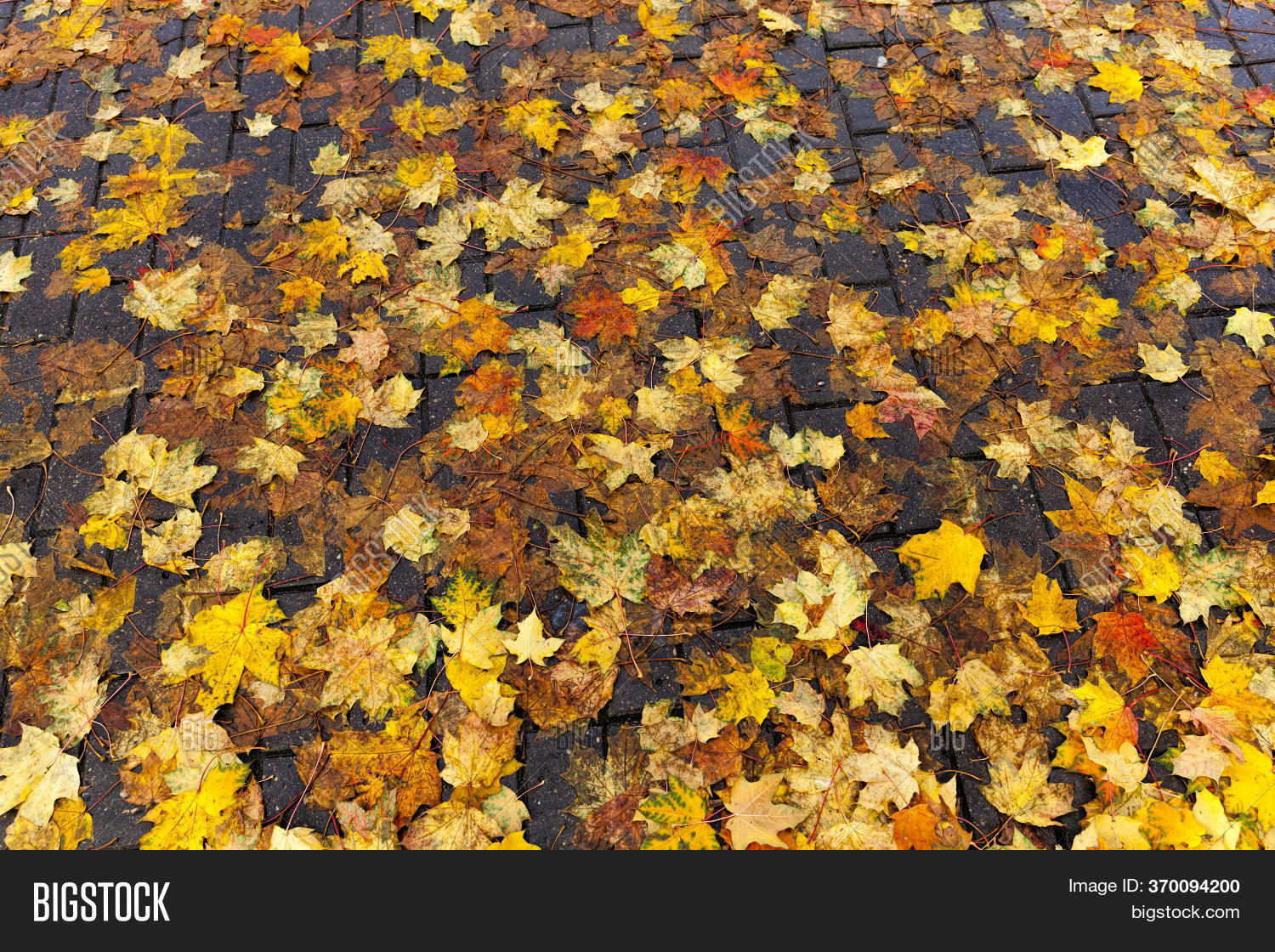 Beautiful Natural Image & Photo (Free Trial) | Bigstock