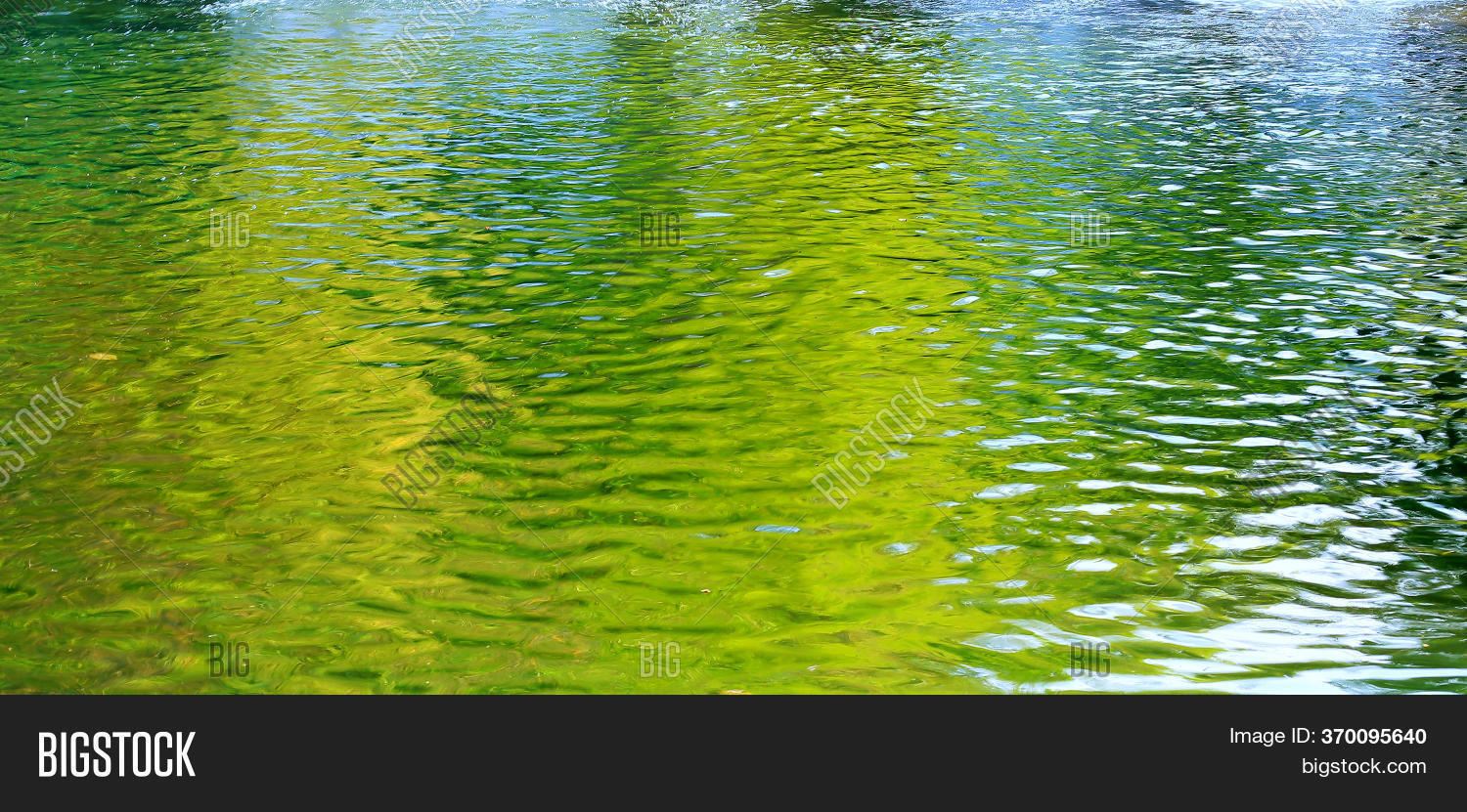 Water Top View Ripple Image & Photo (Free Trial) | Bigstock
