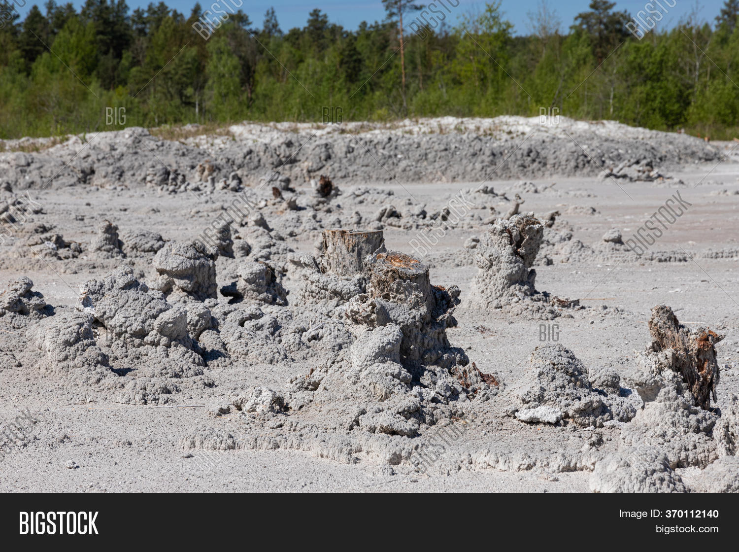 Remains Dead Trees. Image & Photo (Free Trial) | Bigstock
