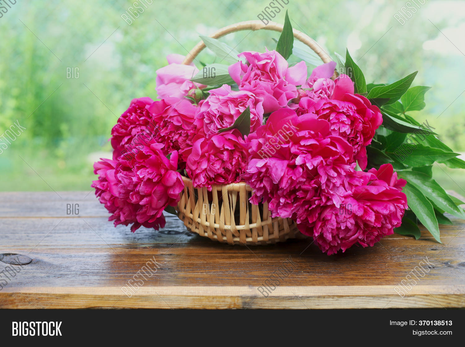 Bright Red Peony Image & Photo (Free Trial) | Bigstock