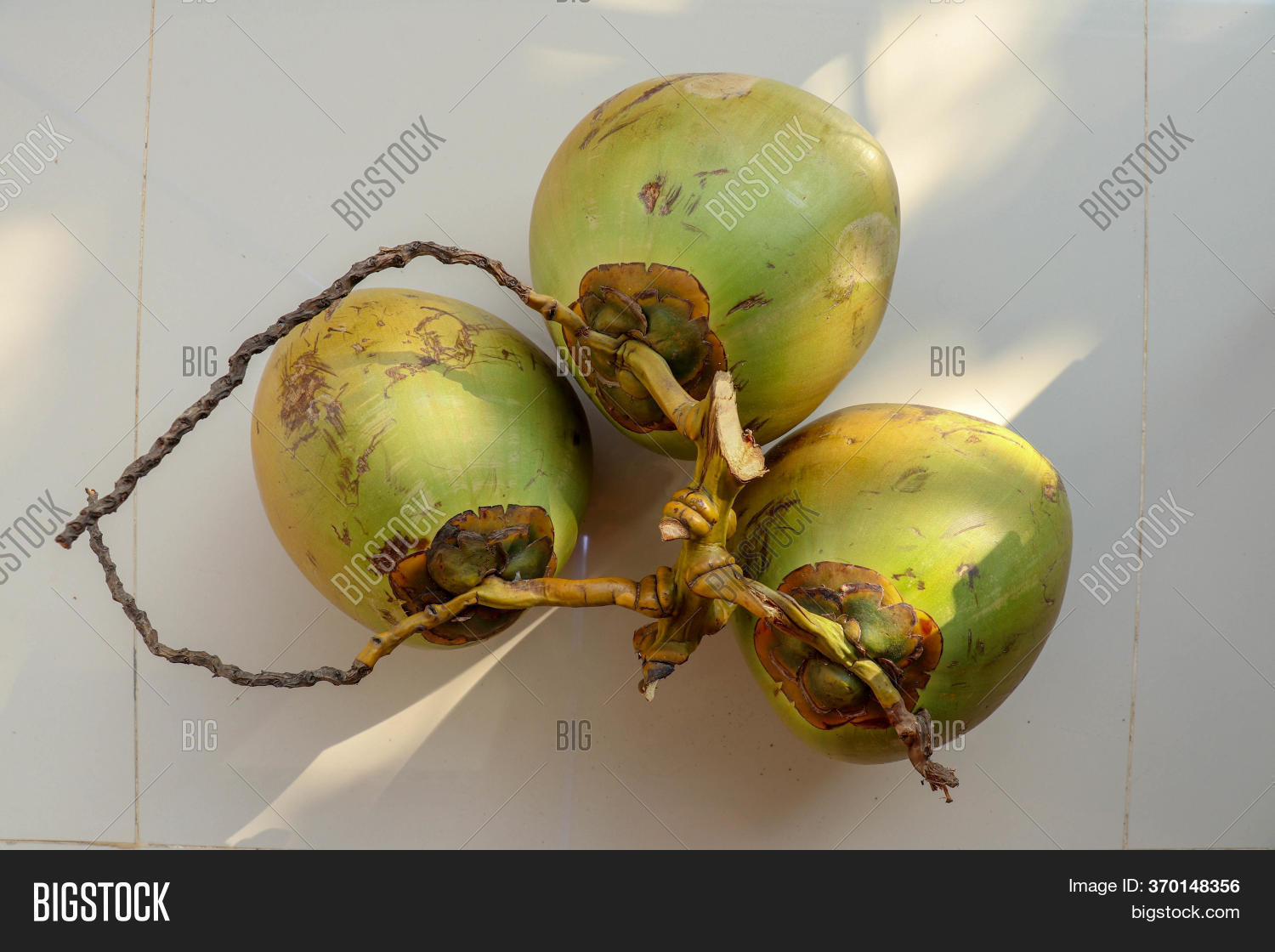 Side View Three Whole Image & Photo (Free Trial) | Bigstock