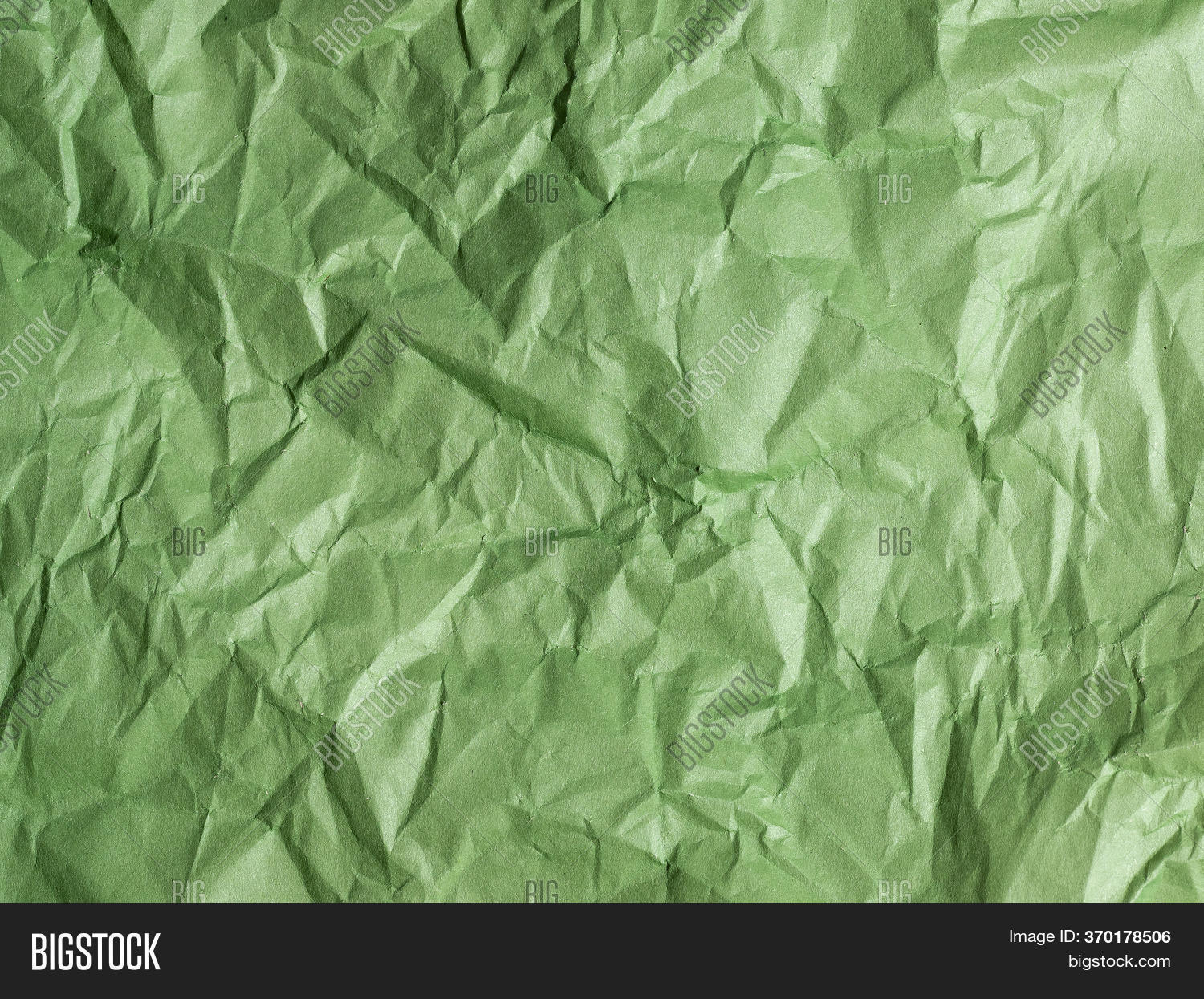 Crumpled Green Paper. Image & Photo (Free Trial) | Bigstock
