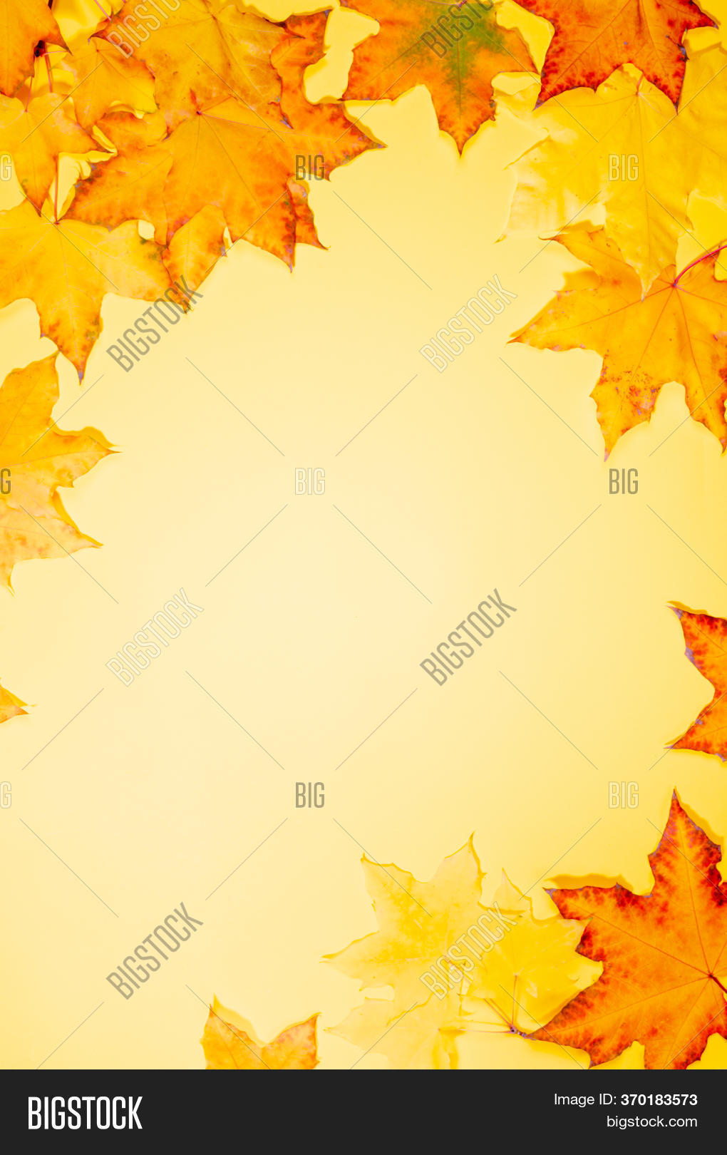 Frame Beautiful Fall Image & Photo (Free Trial) | Bigstock