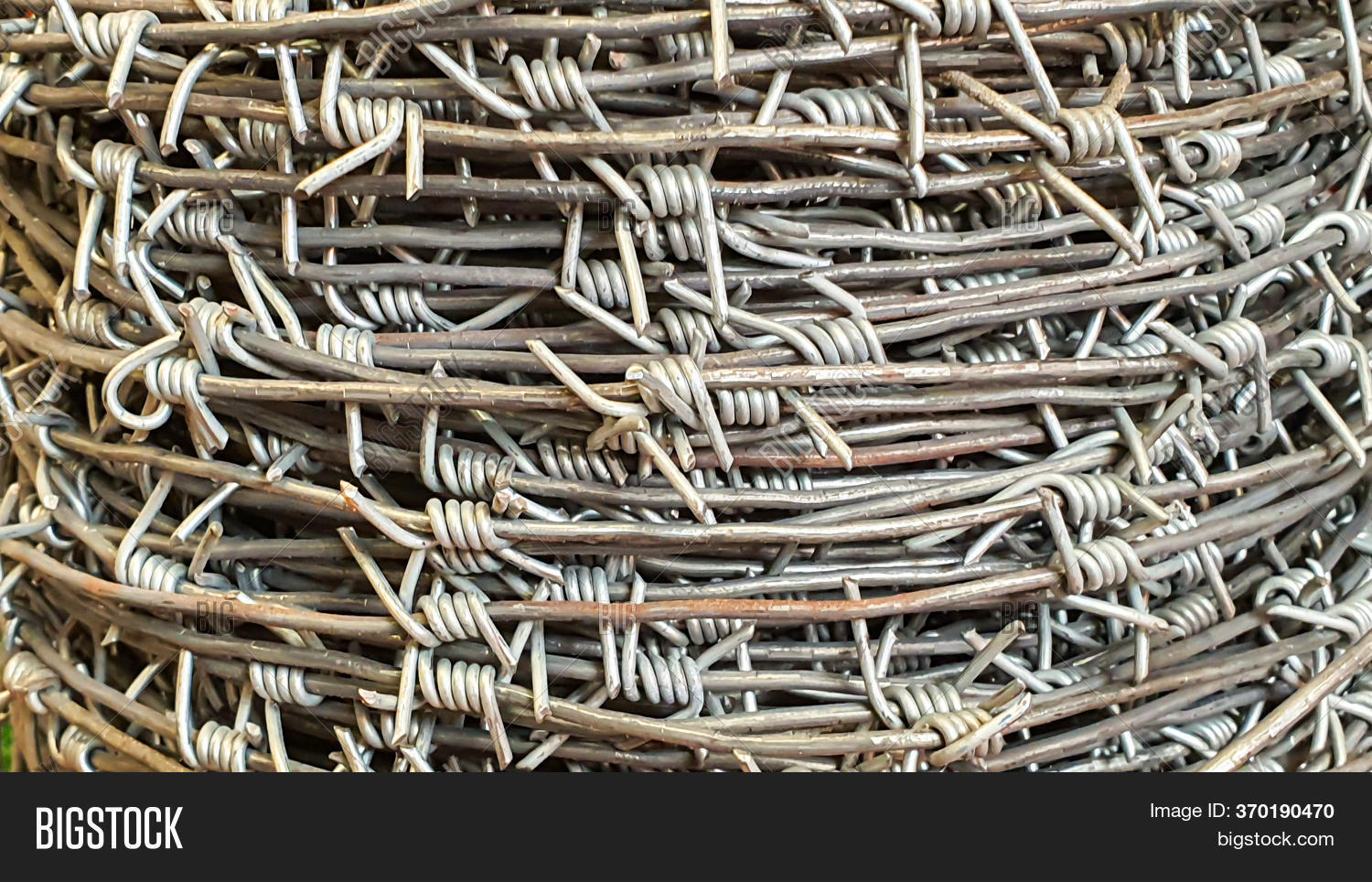 Barbed Wire Sold Store Image & Photo (Free Trial) | Bigstock