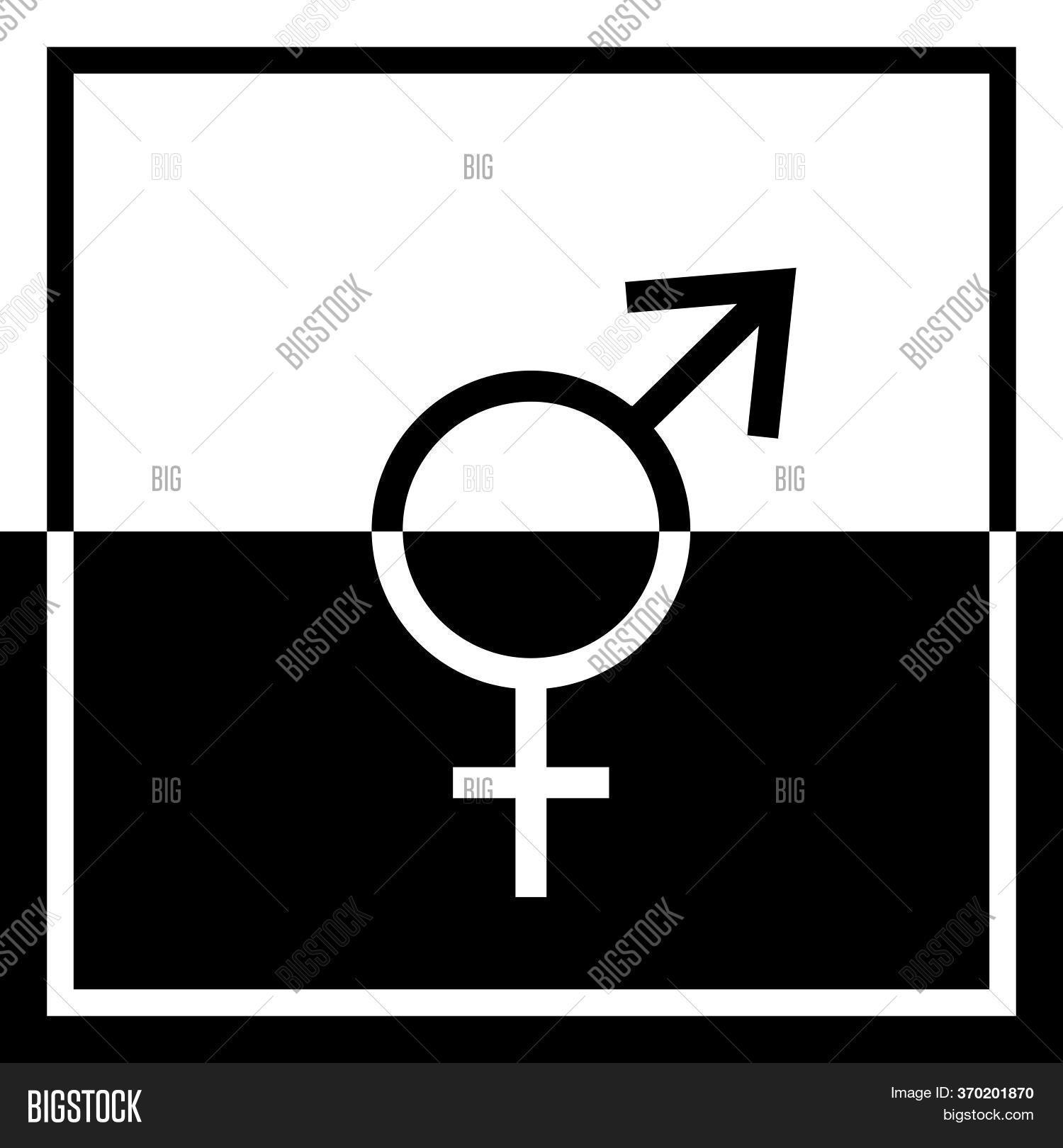 Square Graphic Image & Photo (Free Trial) | Bigstock