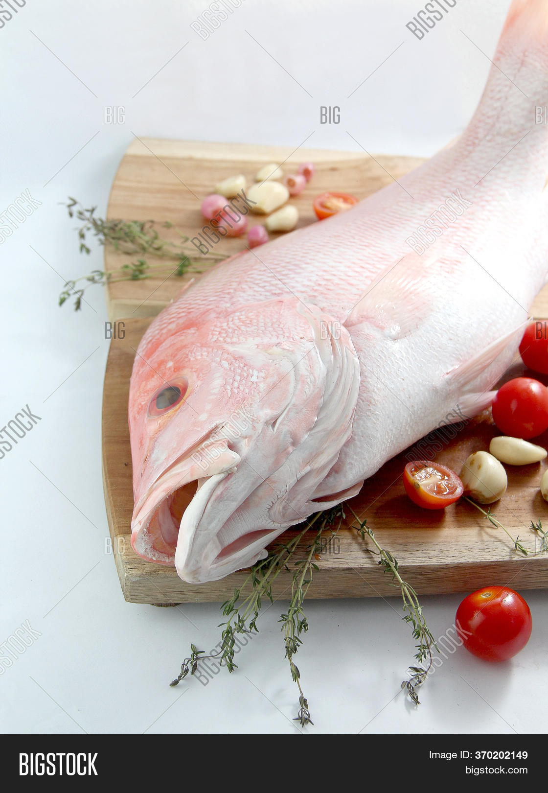Fresh Raw Snapper Fish Image & Photo (Free Trial) | Bigstock