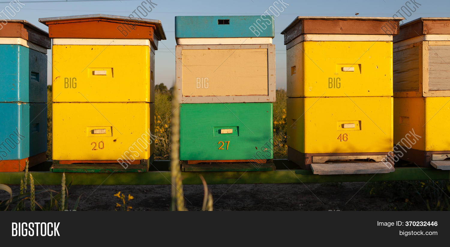 Apiculture Natural Image & Photo (Free Trial) | Bigstock