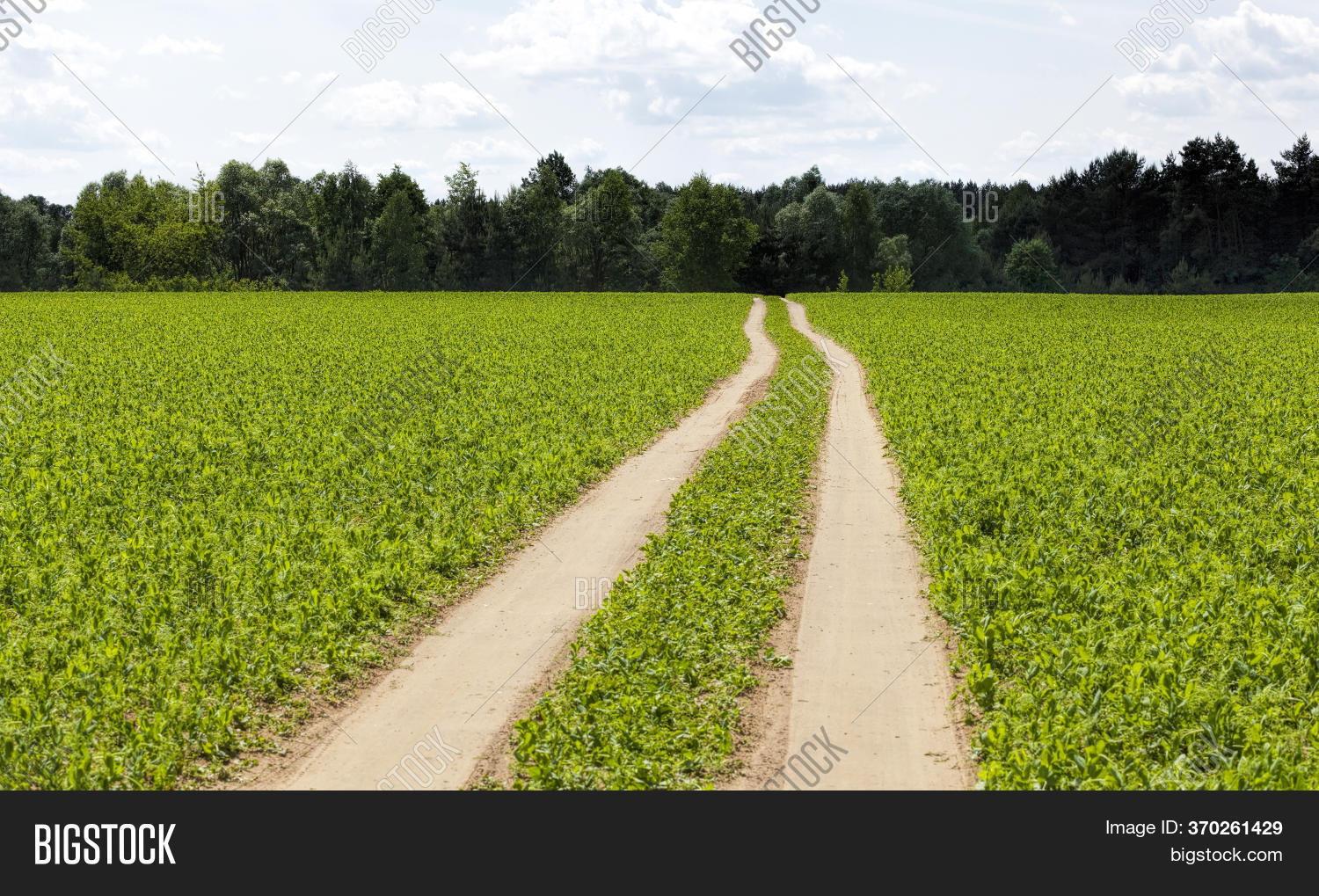 Road Paved On Sand Image & Photo (Free Trial) | Bigstock