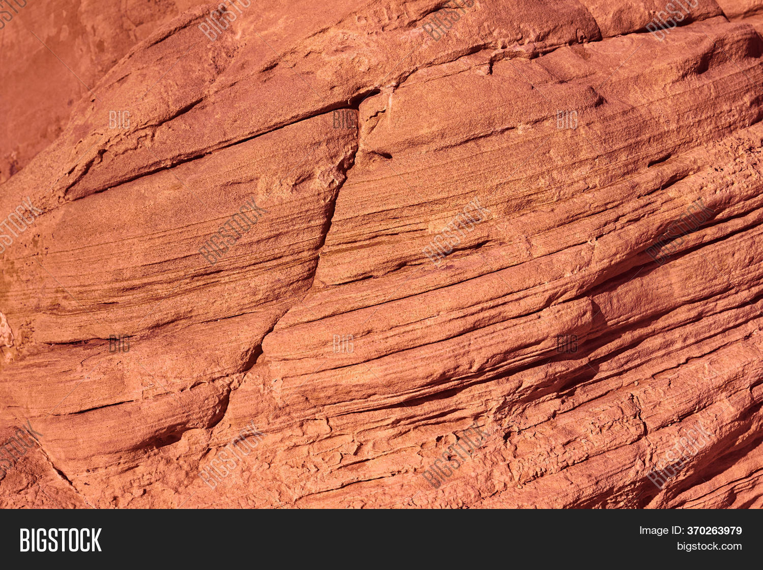Light Coral Brown Image & Photo (Free Trial) | Bigstock