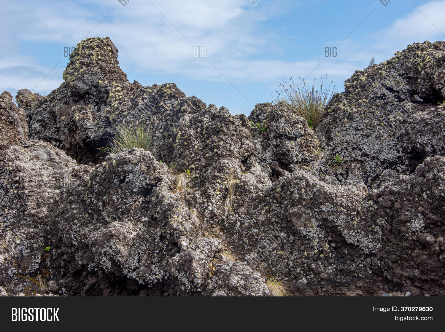 Walk On Azores Image & Photo (Free Trial) | Bigstock