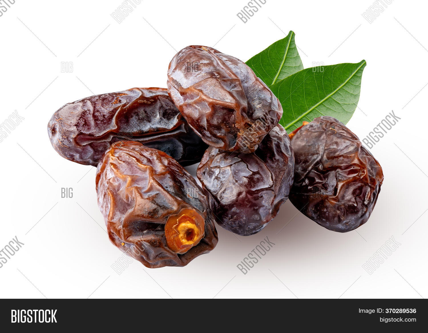 Date Palm Green Leaf Image & Photo (Free Trial) | Bigstock