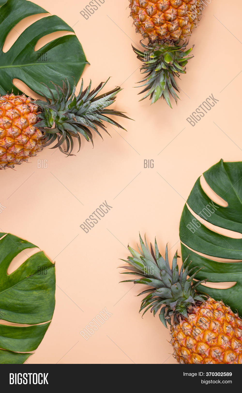 Beautiful Pineapple On Image & Photo (Free Trial) | Bigstock